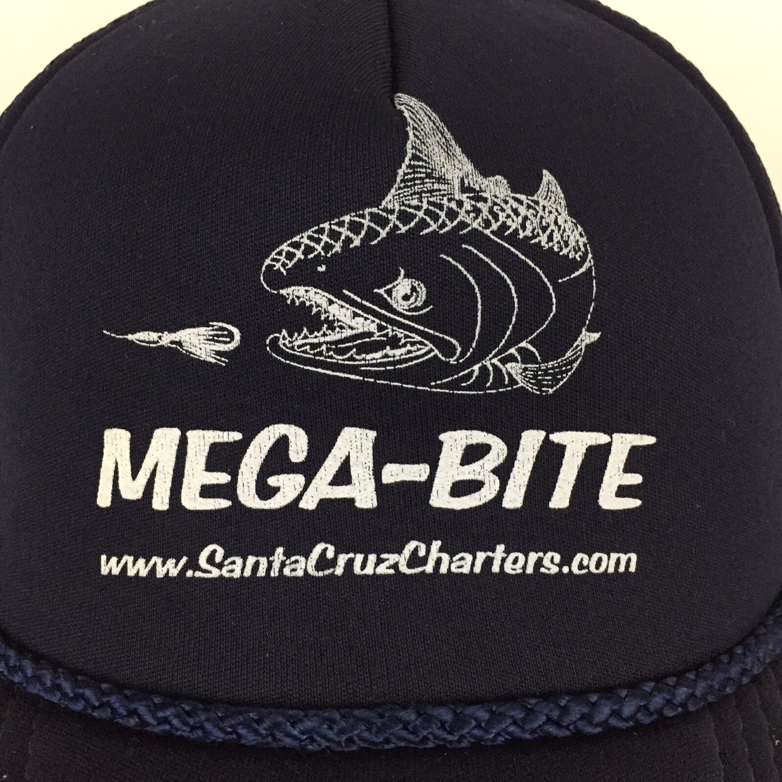 Mega Bite Fish Santa Cruz Cap Script Logo Mesh Snapba… - Gem