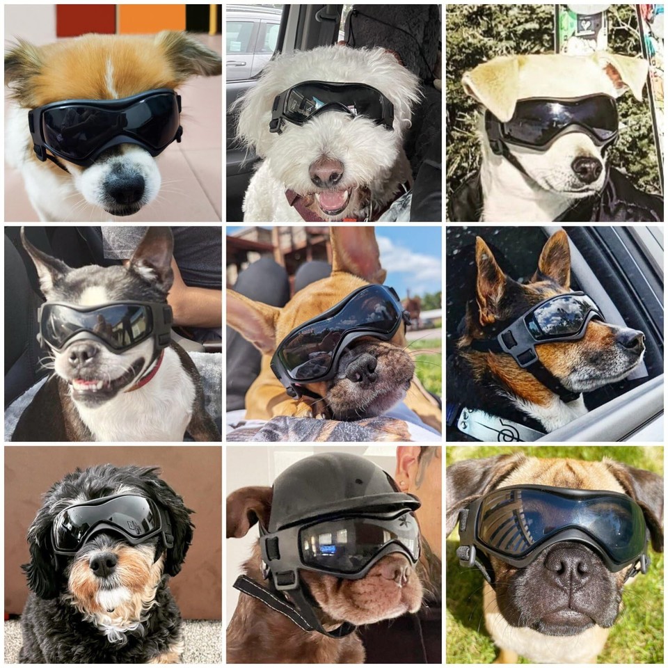 NAMSAN Dog Sunglasses Medium Breed UV Protection Pug Dog Goggles for ...