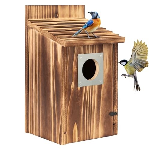 Bird Houses for Outside with Metal Predator Guard for Bluebird Medium 1 ...