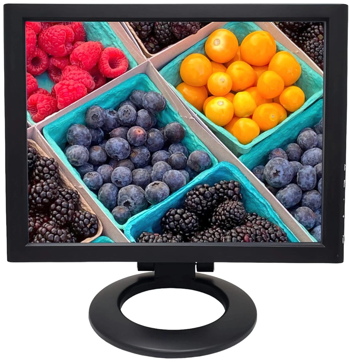 Blueberry Phone Touch Screen