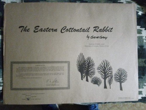 Gene Gray Vintage 1970 Eastern Cottontail Rabbit Print- Signed Art ...