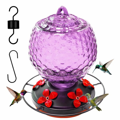 25 OZ Hummingbird Feeder - Glass Hummingbirds Feeder for Outdoors ...