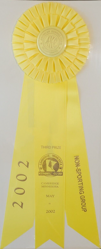 AKC Ribbon Non Sporting Cambridge Kennel Club Minnesota VTG 2002 | eBay