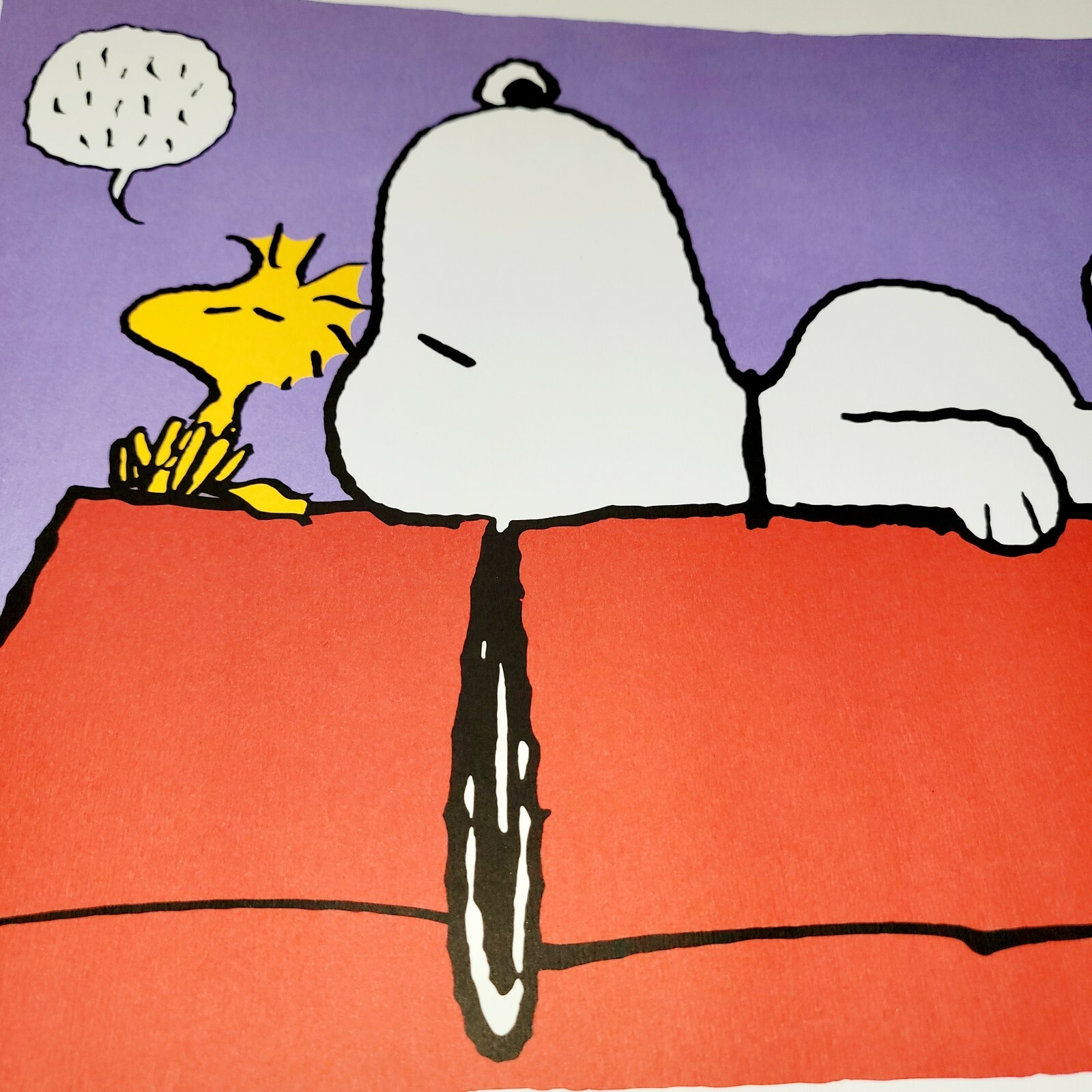 Snoopy On Doghouse Sleeping