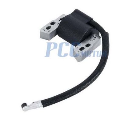 Briggs Stratton Electronic Ignition Coil 695711 802574 796964 U CO34 | eBay