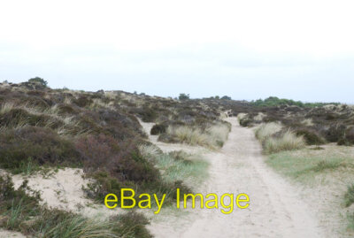 Photo 6x4 Heather Walk Studland On the National Trust land in Studland ...