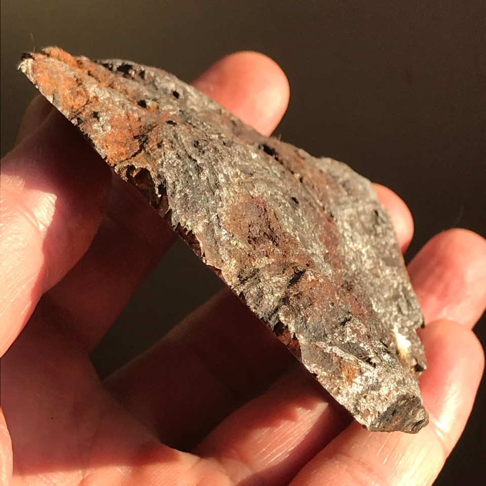 Natural Aletai Iron Meteorite 347.7 Grams Cut Slabs Etched Perfect ...