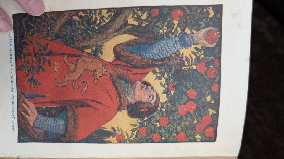 RARE Grimm's Fairy Tales 1913 Illustrated by Hope Dunlap Vintage ...