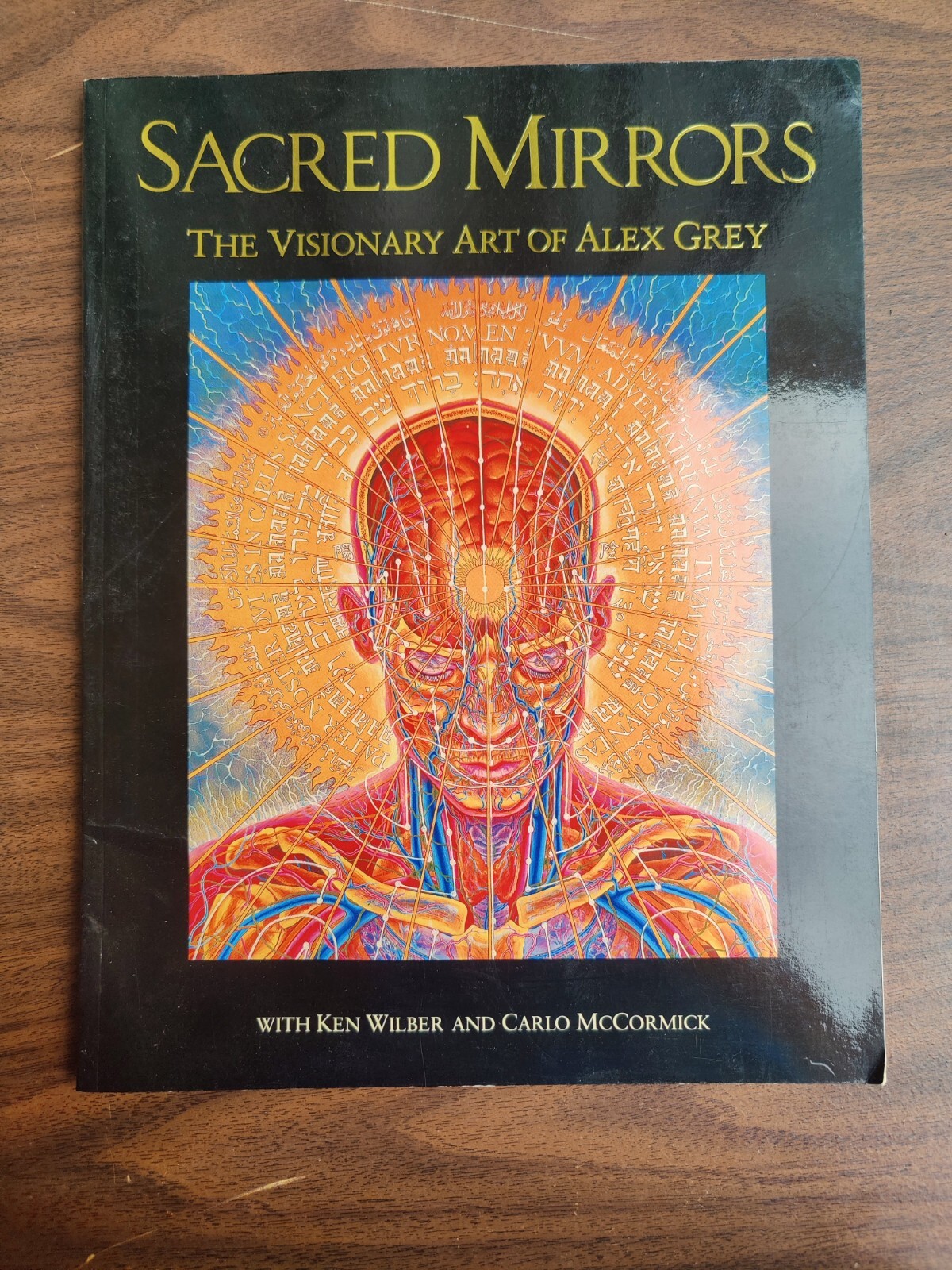 Sacred Mirrors The Visionary Art of Alex Grey 9780892813148| eBay