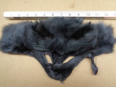 Tanned Dark Grey Dyed Ranch Fox Face/Fur/Crafts/Real Fox fur, not Fake ...