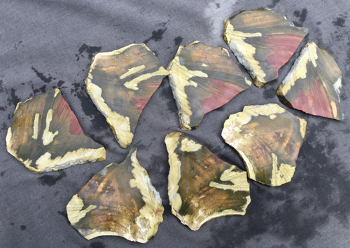 Oregon Picture Jasper Slab Lot 8 Lapidary Rough 5 Are Consecutive Cut ...