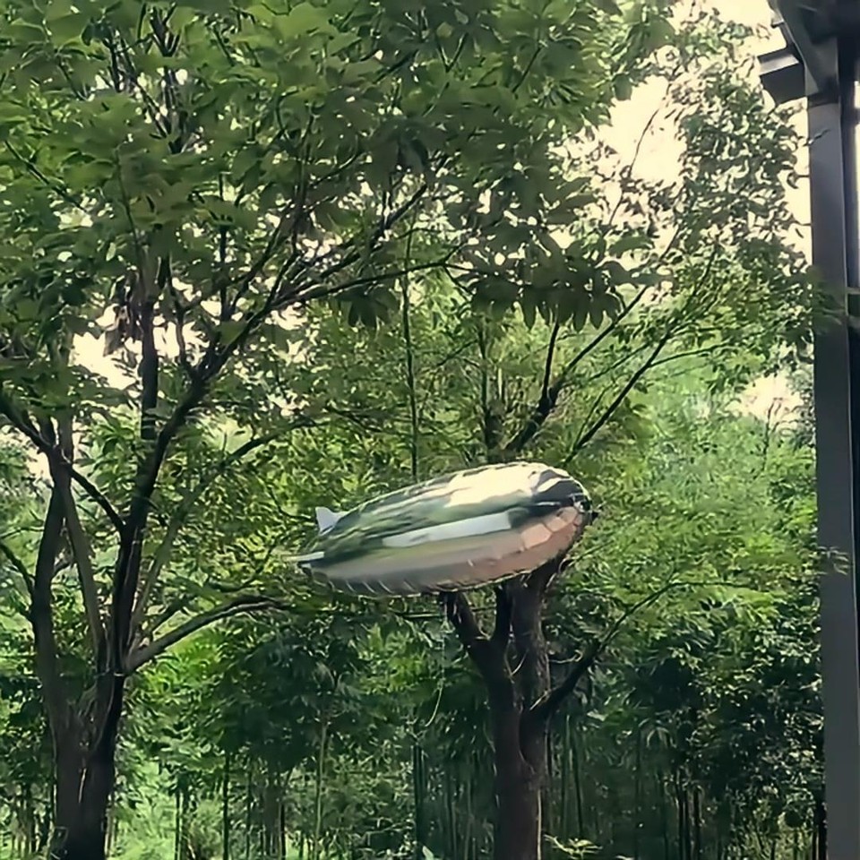 Zeppelin Airship Remote Control Airship Model Kirov Airship is Flyable ...