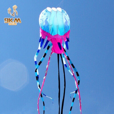 9m Jellyfish Kite Soft Inflatable Single Line Kite 30D Ripstop Nylon ...