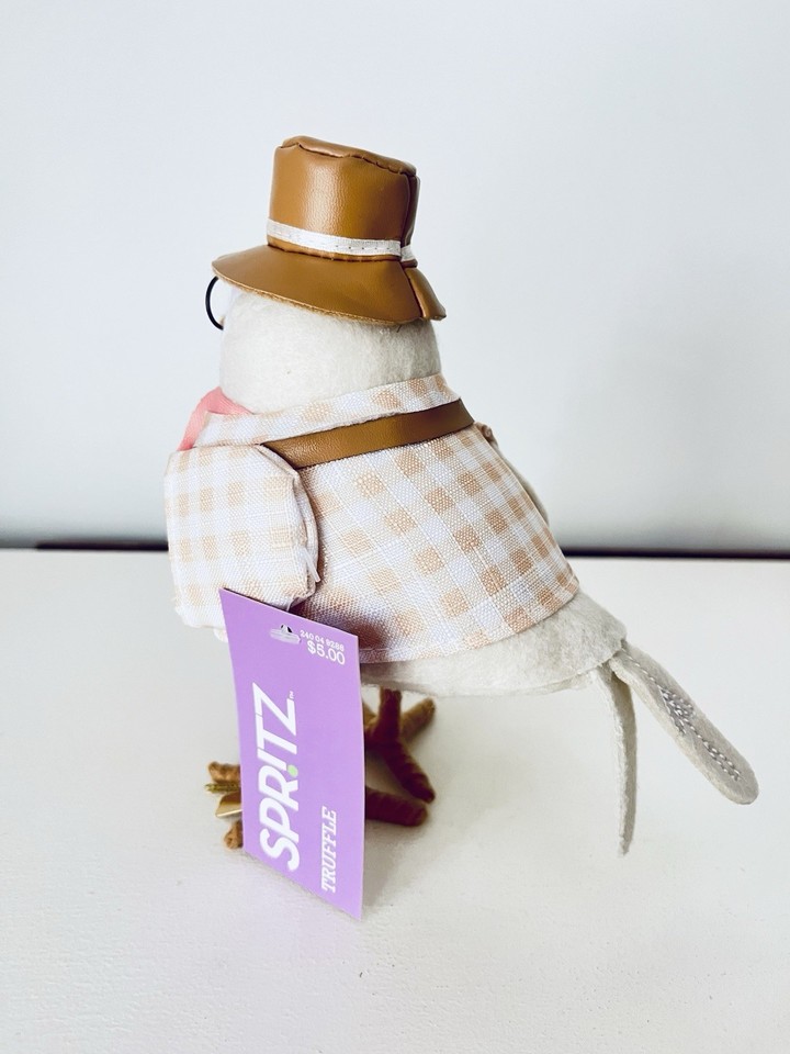 Target Spritz Easter 2024 Spring Featherly Friends Botanist Bird ...