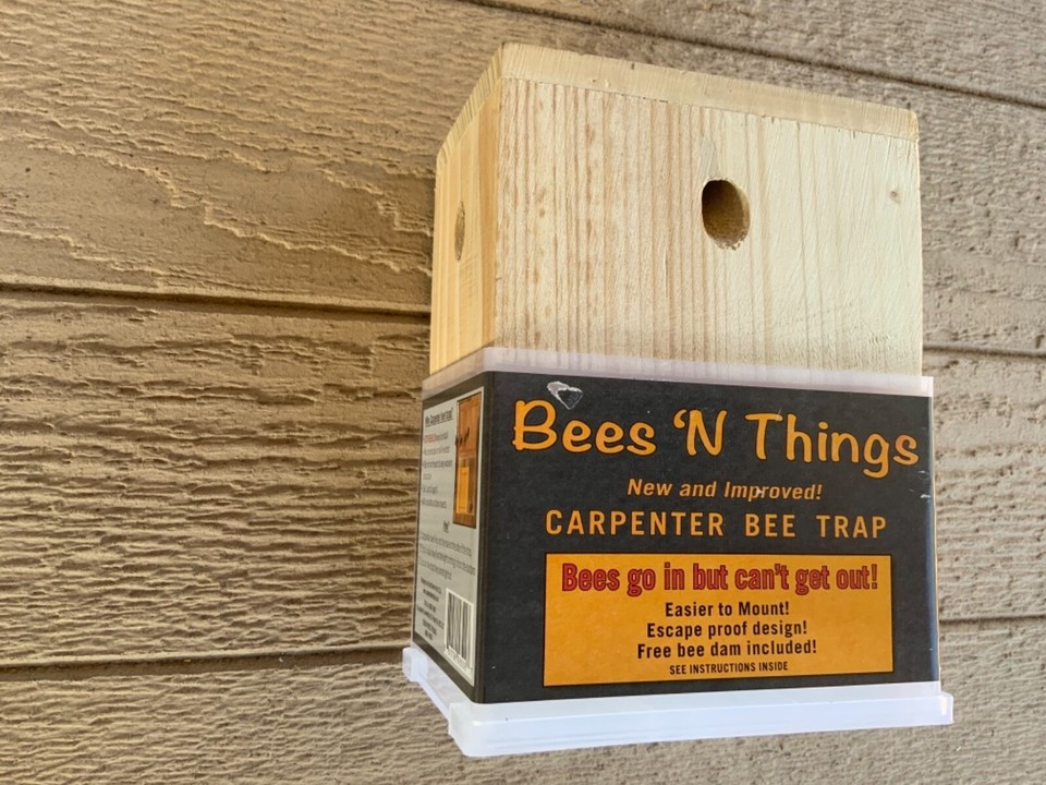 Bees N Things Outdoor Carpenter Bee Hanging Trap with 15 ft. Coverage ...