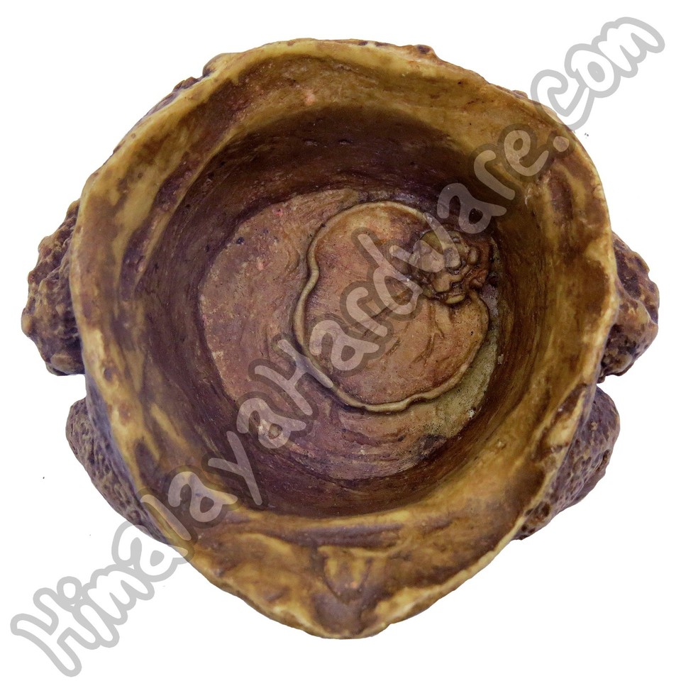 Resin Frog/Toad Storage Box: container ashtray figurine statue jar ...