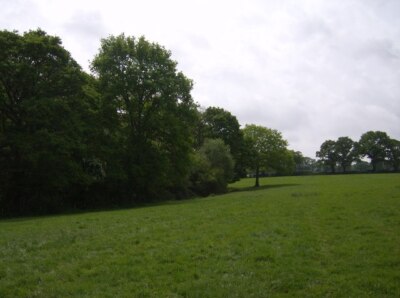 Photo 6x4 Next to Chetnole Withy Bed Hamlet/ST5908 The wood is known as ...