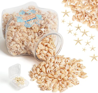 Tiny Sea Shells and Natural Starfish for Crafting Mixed Ocean Beach ...