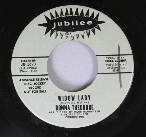 Pop Promo NM ! 45 Donna Theodore - Veuve Lady / Why Can'T I Touch Vous ...