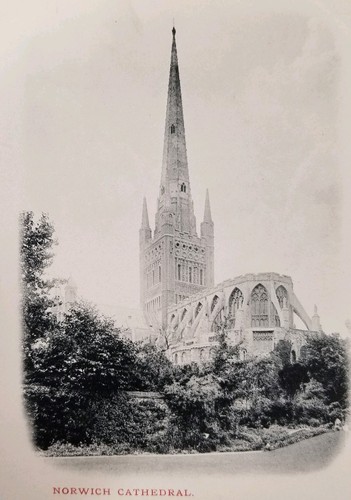 Vintage Postcard View, Norwich Cathedral Norwich a2-302 | eBay