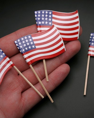 American Flag 24Pk Miniature 1:50 Scale Flags for Diorama, 4th July ...