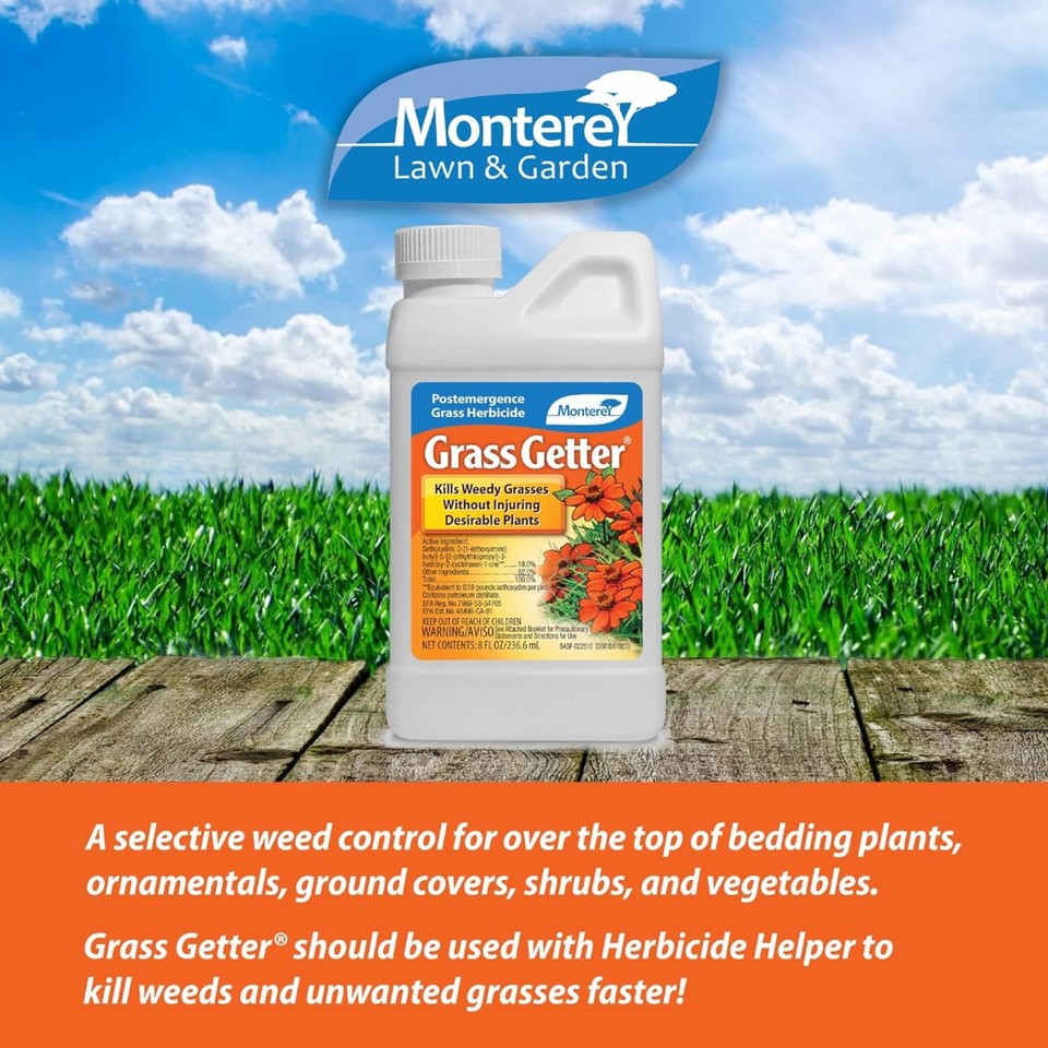 Monterey LG5328 Getter, Post Emergence Herbicide for Grass Weeds, 8 oz ...