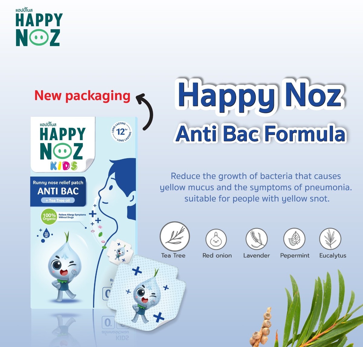 Noz