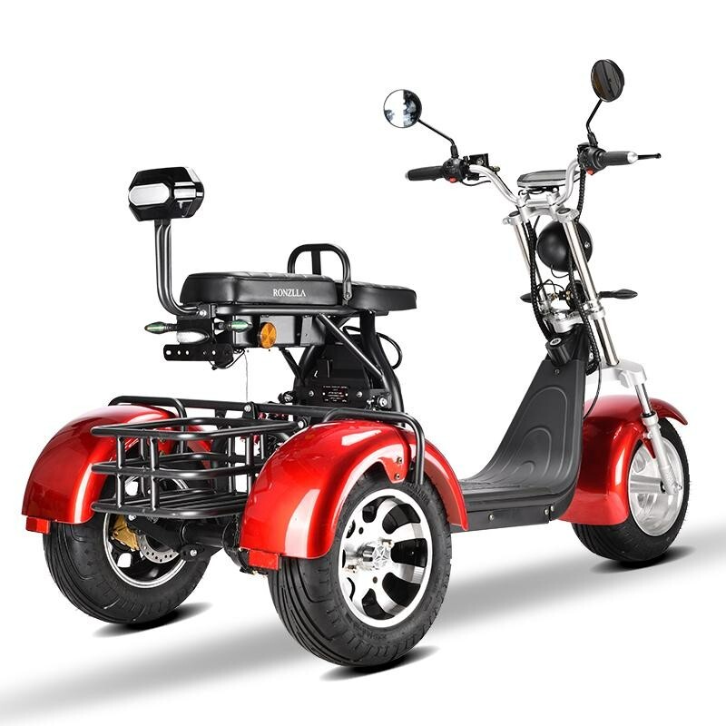 E-Scooter Coco Trike Bike Dreirad 60V 21ah 2000Watt mit Straßenzulassung Roller | eBay.de