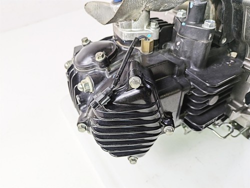 2021 Kawasaki Z125 Pro Running Engine Motor + Throttle Body - Video ...