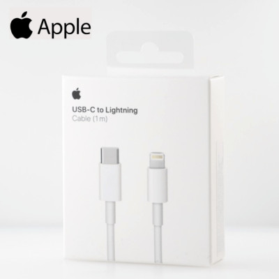 Apple 1m Lighting Cable and 20 W fast charging Adapter for iPhone ...