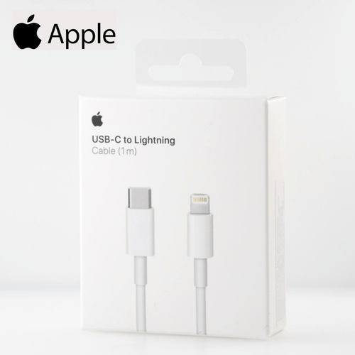 Apple 1m Lighting Cable and 20 W fast charging Adapter for iPhone ...