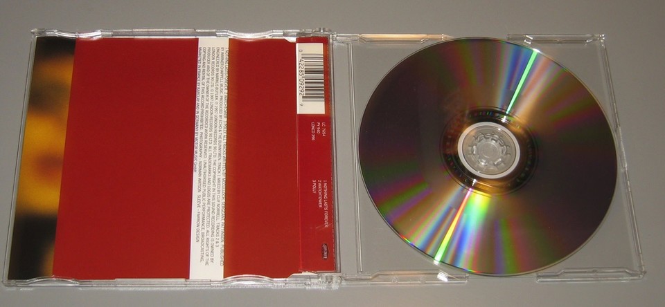 Echo & The Bunnymen - Nothing Lasts Forever 3-Track Maxi-Single (CD ...