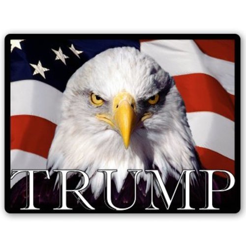 Trump for President 2016 Eagle Car Vinyl Sticker - SELECT SIZE | eBay