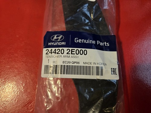 Hyundai OEM 11-15 Elantra Camshaft Cam-tensioner Arm 244202E000 for ...