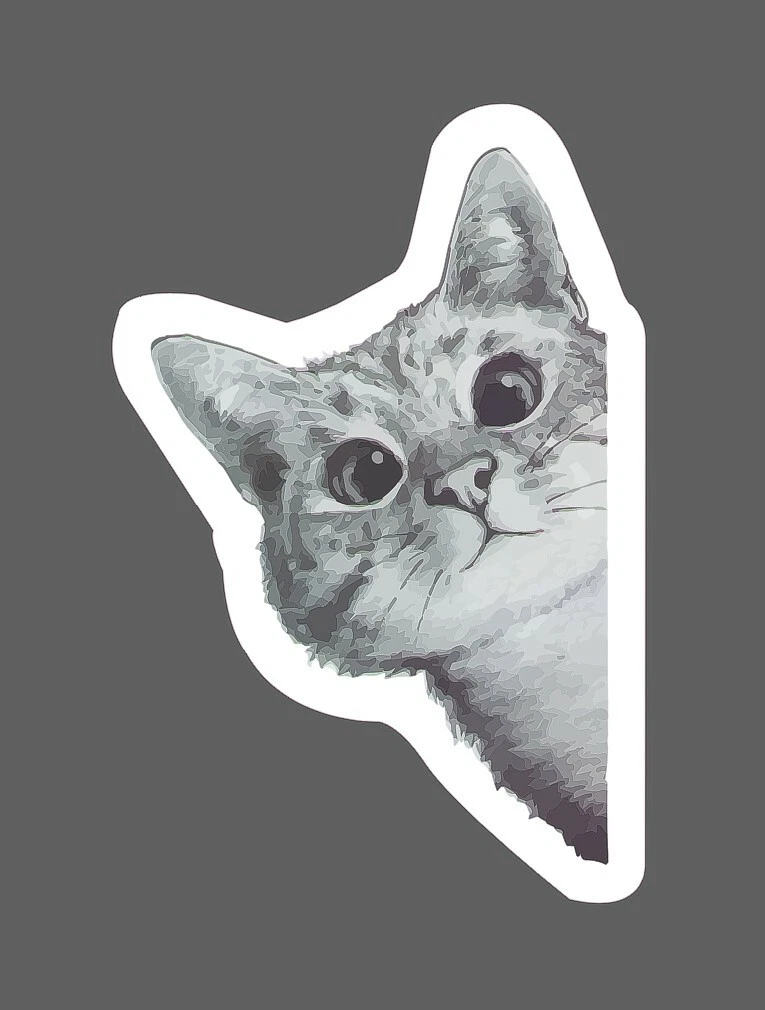 Cat Peeking Around Corner Drawing