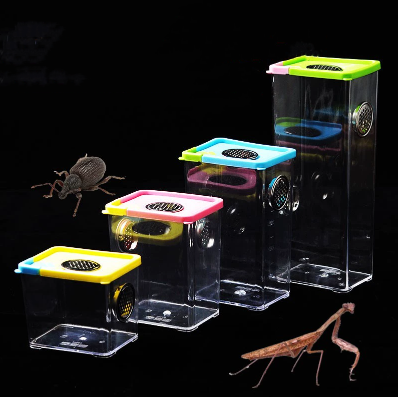 Praying Mantis Stick Insect Arboreal Cages Feeding Box Enclosure SIDE ...
