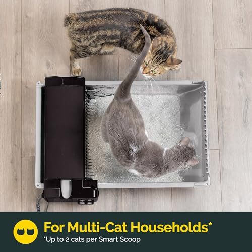 Semi Automatic Cat Litter Box Self Cleaning - Smart Scoop Cat Litter ...