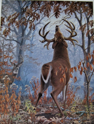 Big Timber Buck by Larry Zach - Whitetail Deer Print ***WITH FREE ...