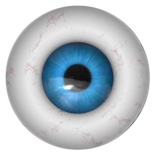 Eyeball, Vinyl Decal Sticker, Indoor Outdoor, 3 Sizes, #8235 | eBay