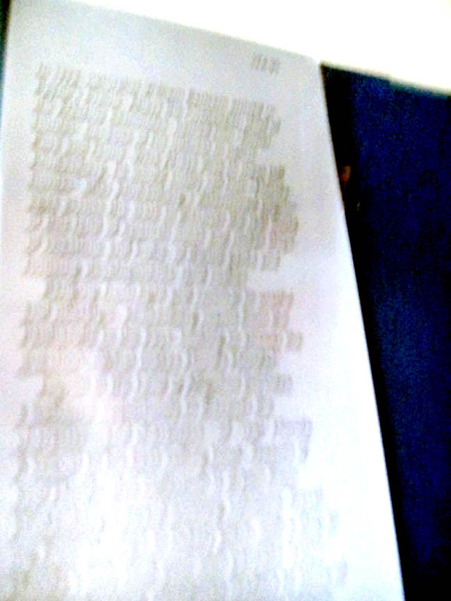 PILGRIM IN THE LAND Of ALLIGATORs,2008,Jeff Klinkenberg,1st Ed,Signed ...