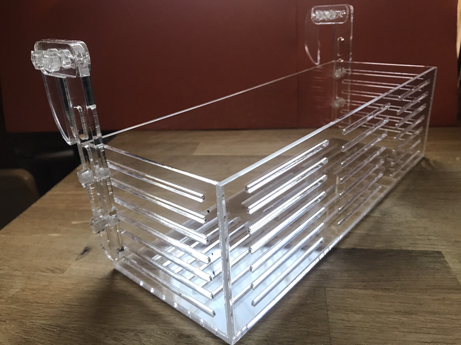 Mushroom Anemone Coral Frag Quarantine Shroom Acclimation Breeder ...