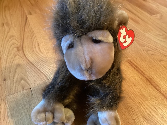 1998 Cha Cha Plush Stuffed Long Hair Chimp Monkey Beanie Baby Toy Ty ...