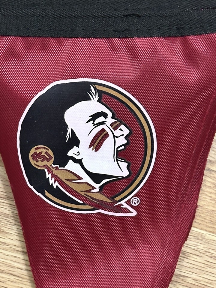 Florida State FSU Seminoles Football Party Pennants Game Day Original ...
