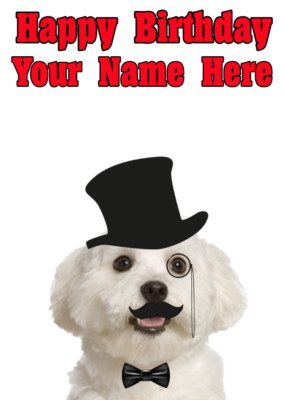 Maltese Dog pps34 Squire Posh Paws Fun Cute Personalised Birthday Card ...