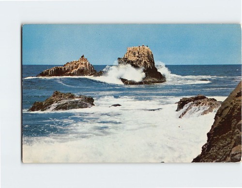 Postcard Seal & Bird Rocks Laguna Beach California USA | eBay