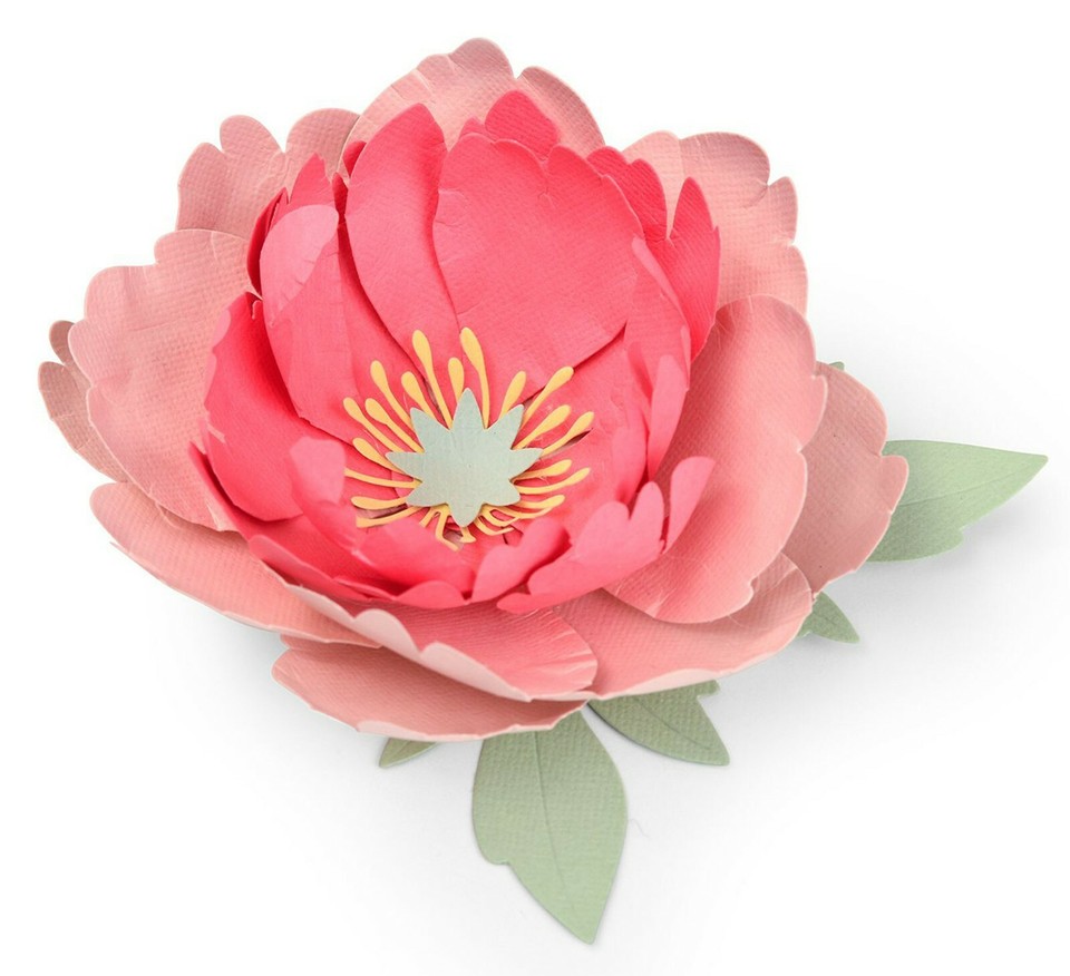 New, Retired Sizzix Thinlits 3-D Peony 5pc #663593 Retail $22.99 by C. Chilson | eBay