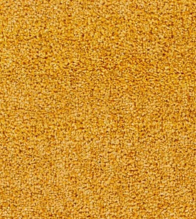 Surya 8 x 10 Mustard Yellow Deluxe SHAG Rug | eBay