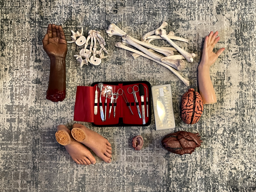 AMAZING DEAL Dapper Cadaver Body Bones & Limbs Lot! Horror Movie Props ...