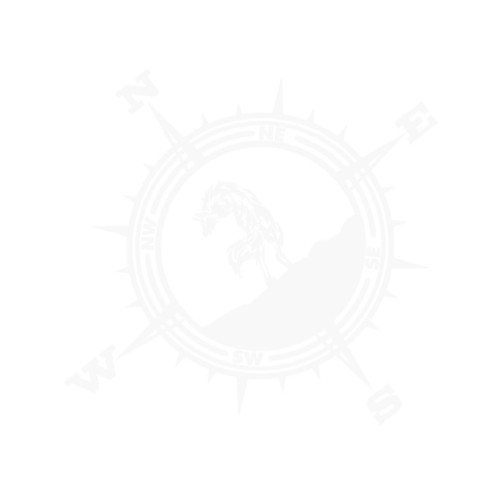 Compass Car Decal Beautiful Vinyl Wall Sticker Cool Car Decorative ...