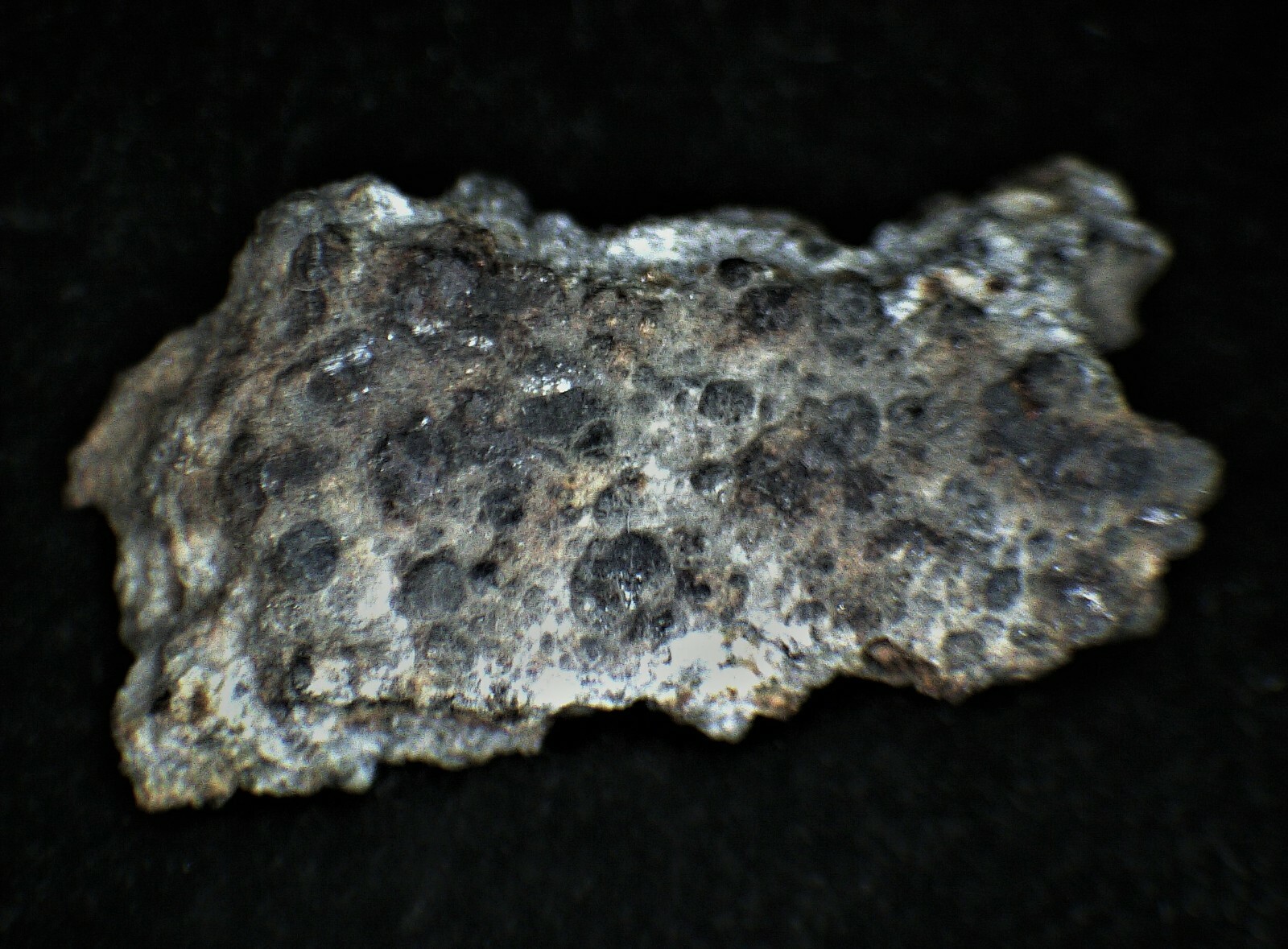 NWA 13445 Chondrite (L4) - 1.3 gram crusted meteorite part slice ...
